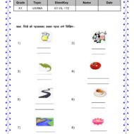 Varna Worksheets For Nursery - https://eLearning24x7.com