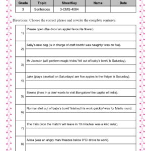 Sentences Worksheets For Grade 3 - https://eLearning24x7.com